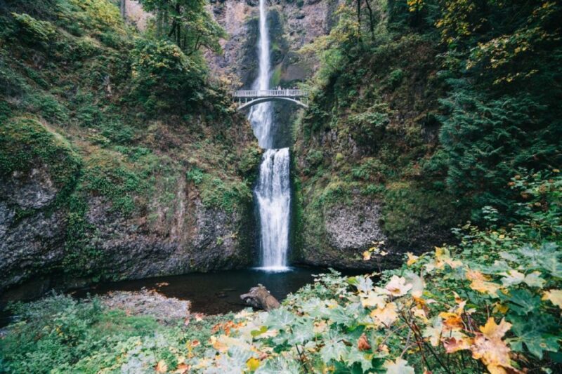 Portland: Columbia River Gorge Waterfalls Afternoon Tour - Final Thoughts: Who Is This Tour Best For?