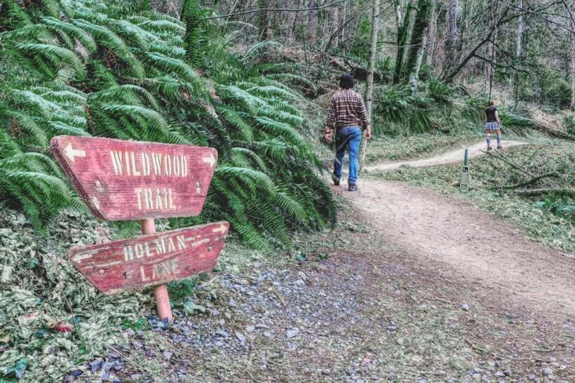 Portland: Forest Park Guided Hike with Witches Castle - Key Points