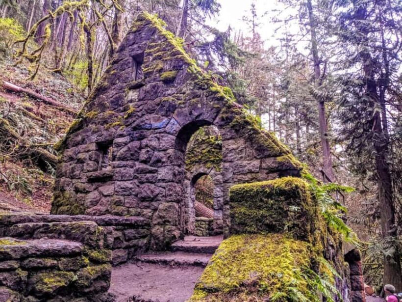 Portland: Forest Park Guided Hike with Witches Castle - Authentic Portland Flavor and Local Stories