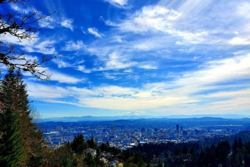 Portland: Half Day City Sightseeing Tour - What Travelers Say