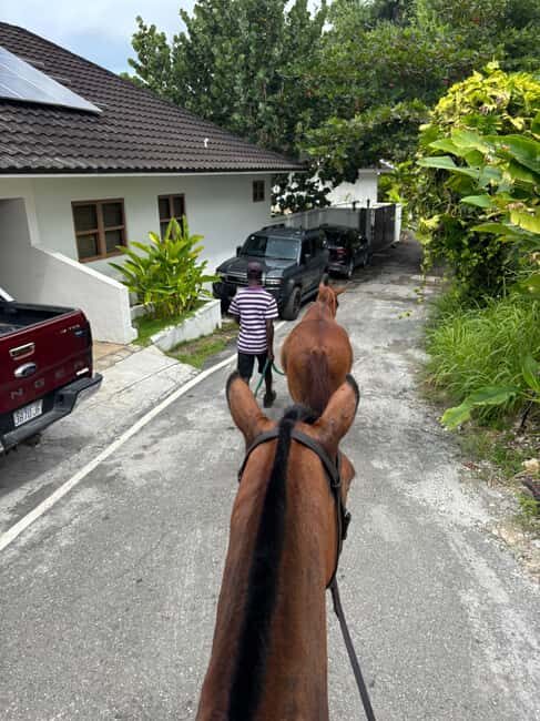 Portland, Jamaica: Horseback Riding Tour - Authenticity and Advice for Travelers