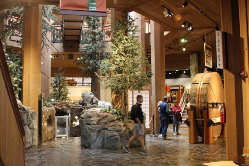 Portland: Morning City Highlights Tour - The Practical Side