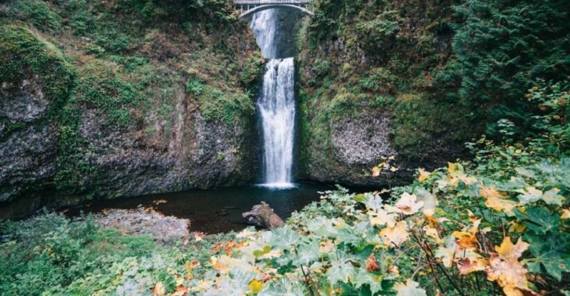 Portland: Mt. Hood Day Tour - An In-Depth Look at the Mt. Hood Day Tour