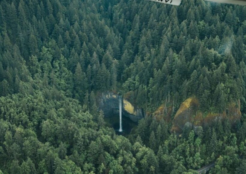 Portland: Multnomah Falls Scenic Air Tour - Who Will Enjoy This Tour?