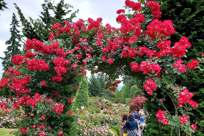 Portland, Oregon City Tour! - Cancellation Policy and Transportation