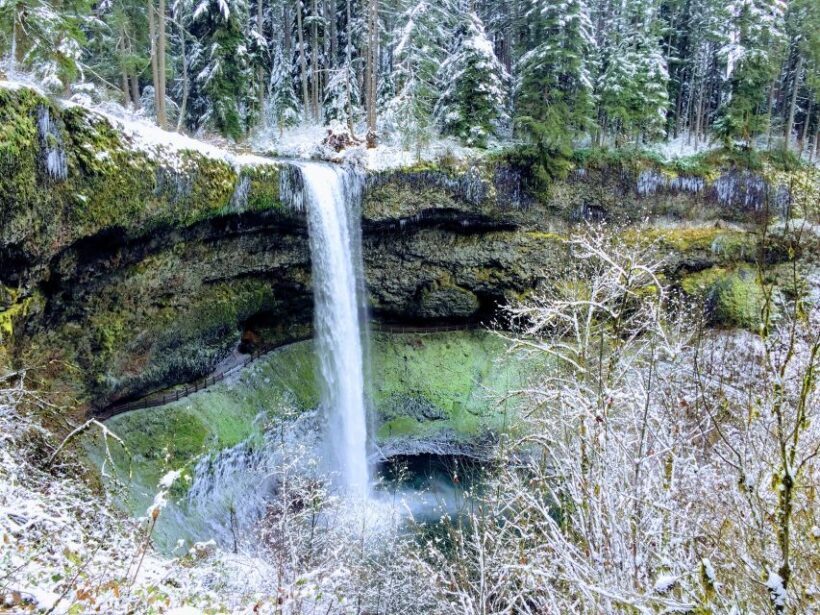 Portland: Silver Falls Hike - A Closer Look at the Silver Falls Hike Tour
