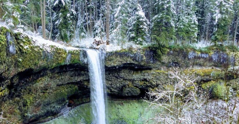 Portland: Silver Falls Hike - The Itinerary in Detail