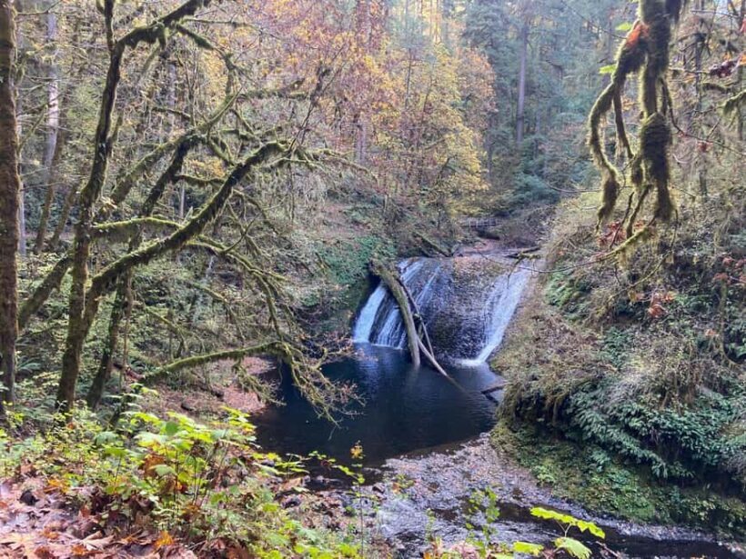 Portland: Silver Falls State Park Waterfall Hike - Why This Tour Is Worth Considering