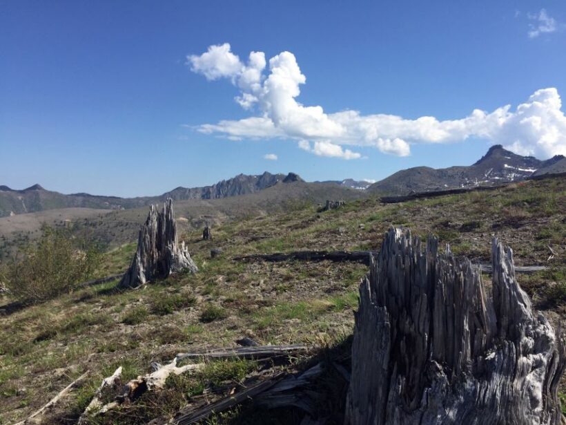 Portland: The Mt. St. Helens Adventure Tour - Who Would Love This Tour?