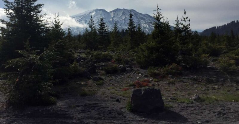 Portland: The Mt. St. Helens Adventure Tour - What to Expect: Practical Details
