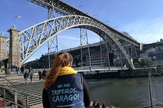Porto: 2-Hour City Highlights Segway Tour - Guided Experience - Customer Reviews and Experiences