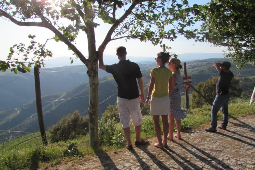Porto: 3 Douro Valley Vineyards Tour with Lunch - A Detailed Look at the Douro Valley Wine Tour