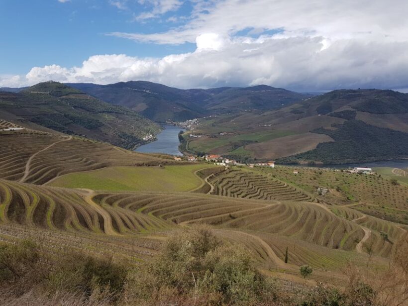 Porto: 3 Douro Valley Vineyards Tour with Lunch - Final Thoughts