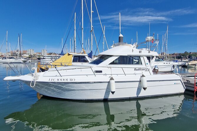 Porto: 6 Bridges Tour With 4 Port Wine Tasting - Inclusions