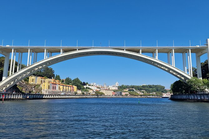 Porto: 6 Bridges Tour With 4 Port Wine Tasting - Experience Highlights