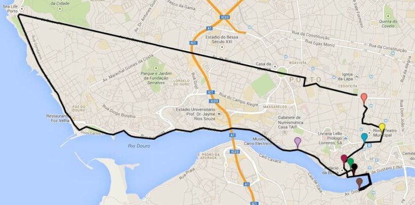 Porto 6-Hour Wine & Gastronomy Excursion by Bike - What to Expect from the Experience