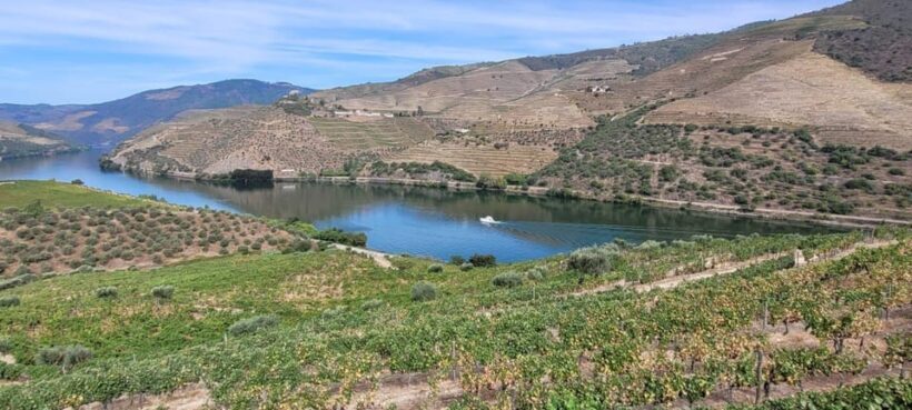 Porto ao Douro melhor experiência vinho e comida Portuguesa - FAQ
