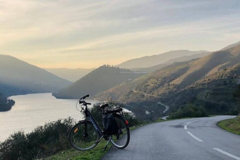 Porto: Bicycle Rental - Exploring Porto on Two Wheels: A Closer Look