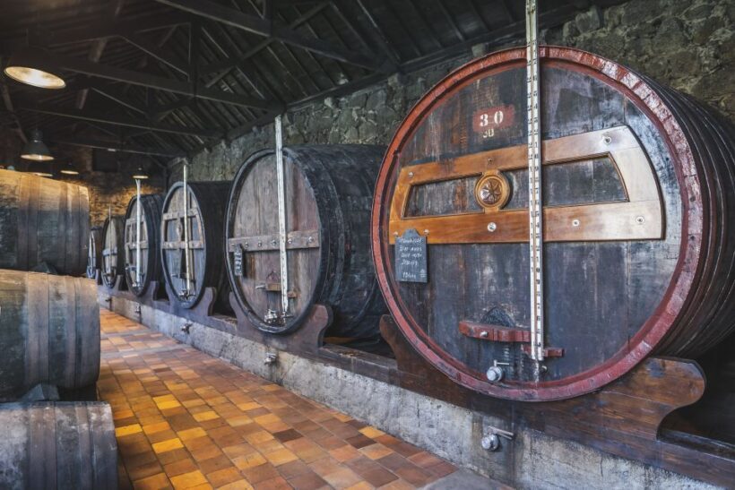 Porto: Burmester Cellar Tour with Tasting & Pairing Options - Porto: Burmester Cellar Tour with Tasting & Pairing Options