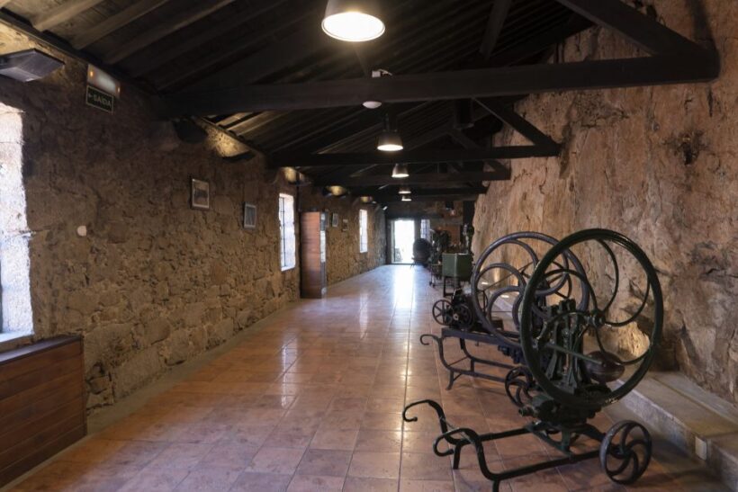 Porto: Burmester Cellar Tour with Tasting & Pairing Options - Practical Tips for the Tour