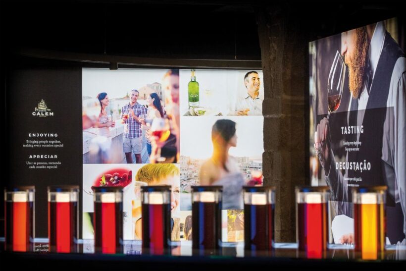 Porto: Cálem Cellar Tour, Interactive Museum & Wine Tasting - Introduction