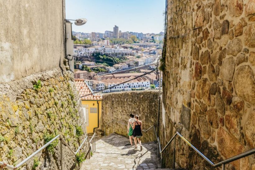 Porto Card with Transportation (1, 2, 3 or 4 Days) - An In-Depth Look at the Porto Card and Its Benefits