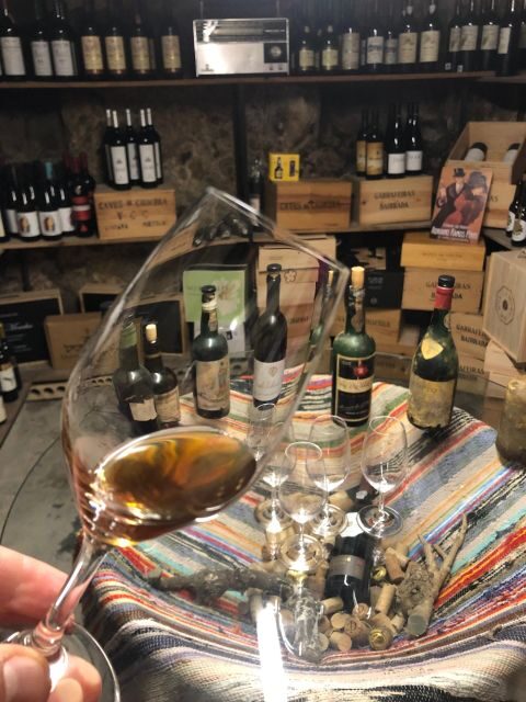 Porto: Cheese and Port Wine Tasting in a Unique Place - The Sum Up