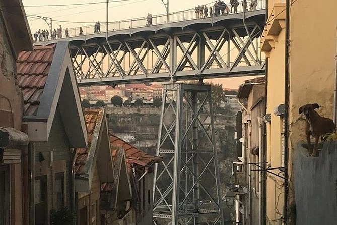 Porto City and Aveiro Private Tour From Lisbon - Panoramic Tour of Porto