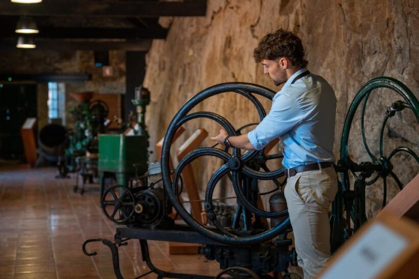 Porto City Full Day Minibus Tour, Wine Tasting & Six Brigdes - The Scenic Boat Cruise