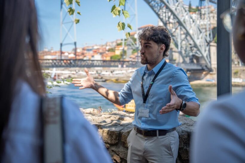 Porto City Full Day Minibus Tour, Wine Tasting & Six Brigdes - Who Should Consider This Tour?