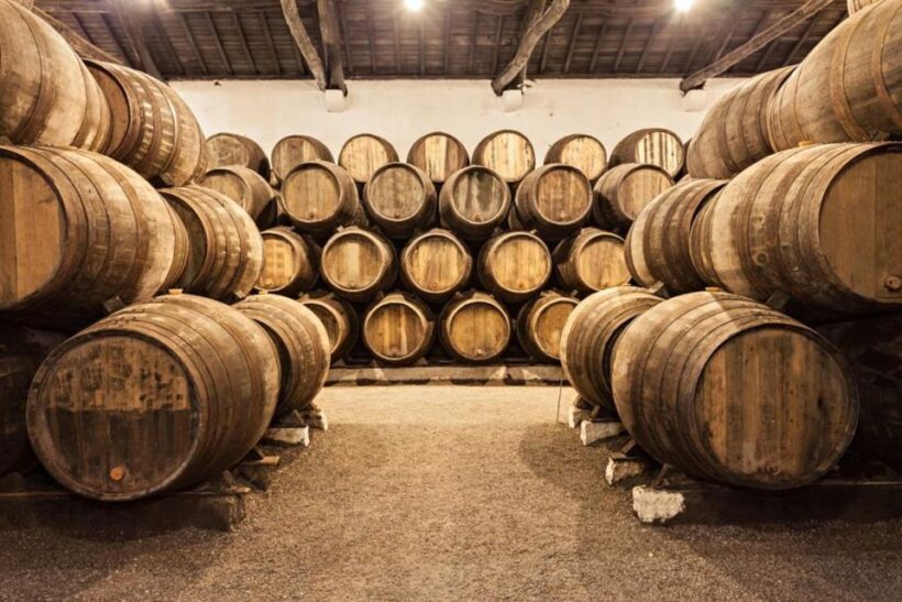 Porto City Full-Day Tour with Wine Tasting - Key Points