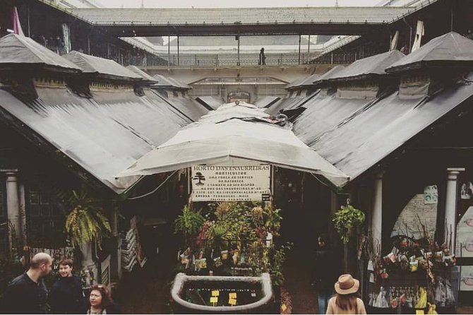 Porto City Tour Full Day: River Cruise, Wine Cellars & Lunch - Tour Inclusions & Conditions