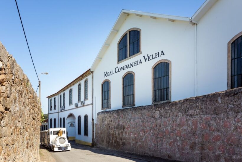 Porto: City Train Tour, River Cruise & Wine Cellar - Practical Details and Tips