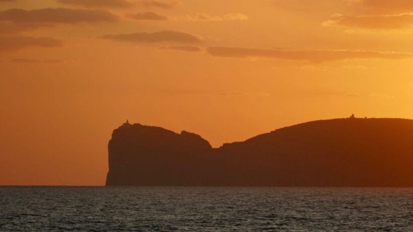 Porto Conte: Sunset catamaran excursion with aperitif - Practical Details