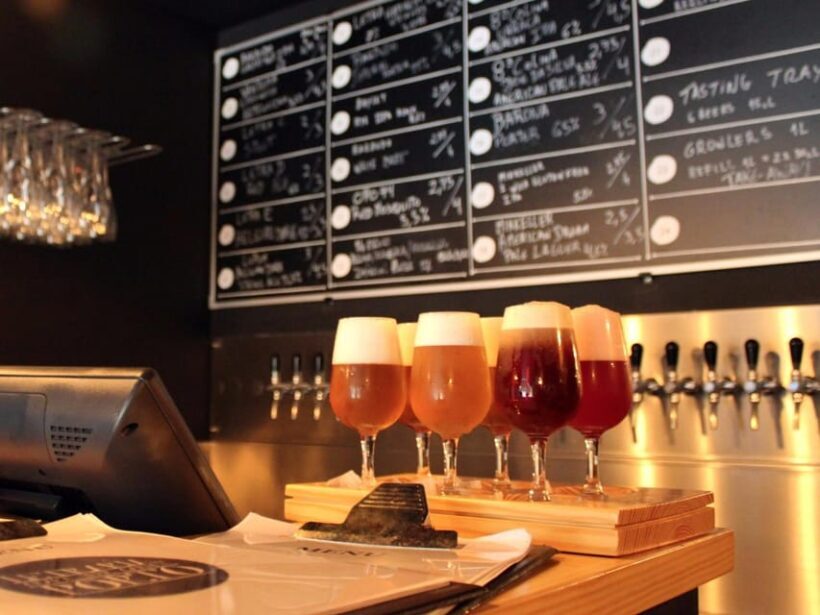 Porto: Craft Beer Tasting Tour with Local Snacks - An In-Depth Look at the Experience