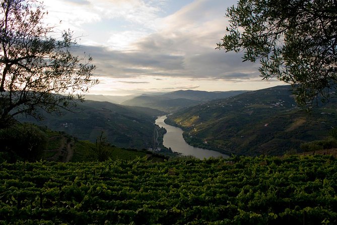 Porto: Day Trip to Douro Including Lunch and Rivercruise - Exploring the Charming Douro Valley