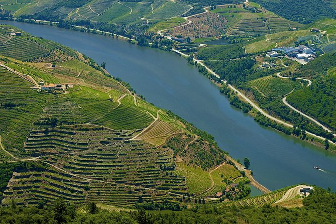 Porto: Day Trip to Douro Including Lunch and Rivercruise - Indulging in Traditional Portuguese Cuisine