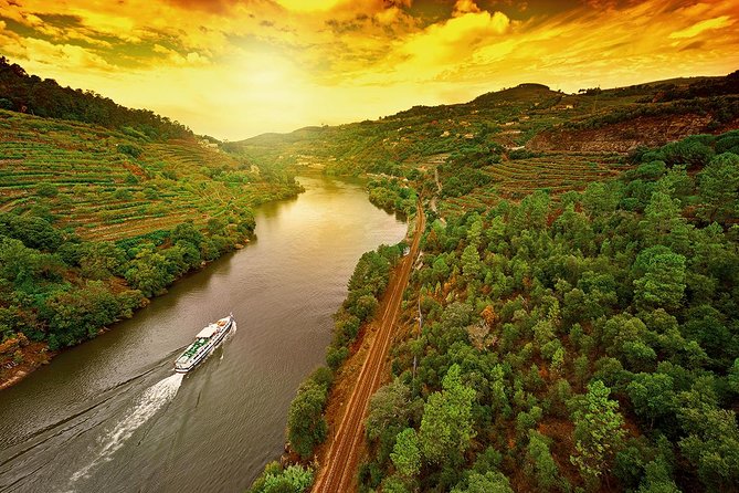 Porto: Day Trip to Douro Including Lunch and Rivercruise - Cruising the Picturesque Douro River