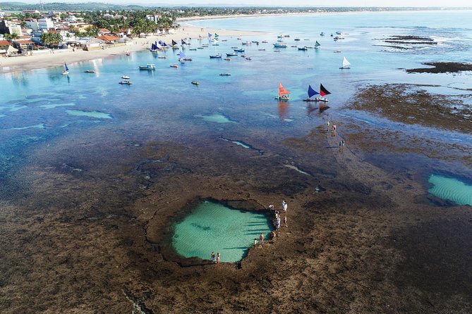 Porto De Galinhas Tour From Maragogi by Costazul Turismo - Tour Overview