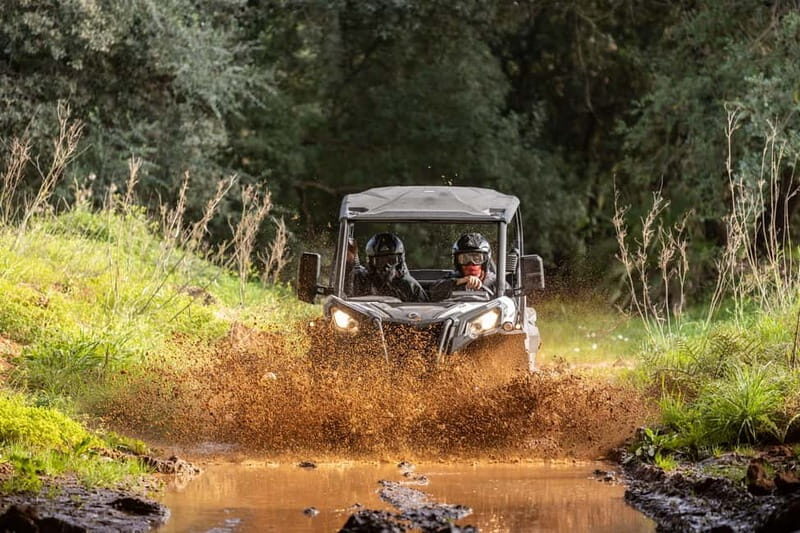 Porto: Dirt and Dust Tour by Oporto Buggy - Who Is This Tour Best For?