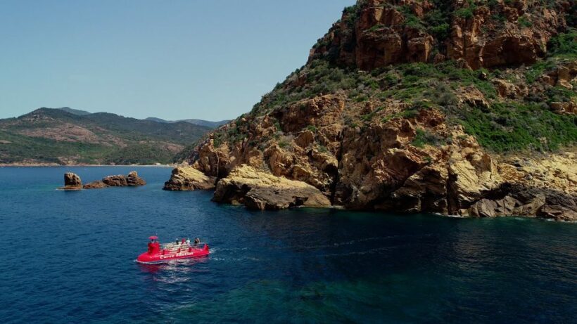 Porto : Discovery of the marine fauna and flora/Bay of Porto - Key Points