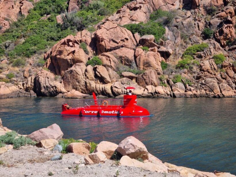 Porto : Discovery of the marine fauna and flora/Bay of Porto - Introduction: What You Can Expect from the Porto Marine Tour