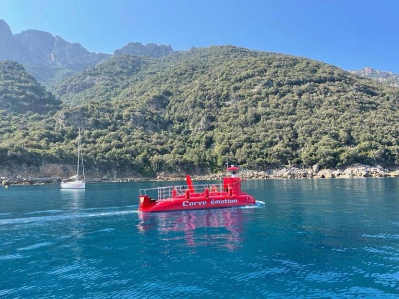 Porto : Discovery of the marine fauna and flora/Bay of Porto - The Itinerary: What You’ll See and Do
