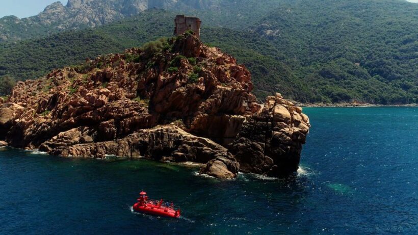 Porto : Discovery of the marine fauna and flora/Bay of Porto - What’s Included and What’s Not