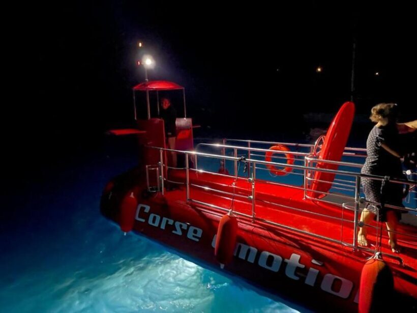 Porto : Discovery of the marine fauna and flora/Bay of Porto - What Past Travelers Say