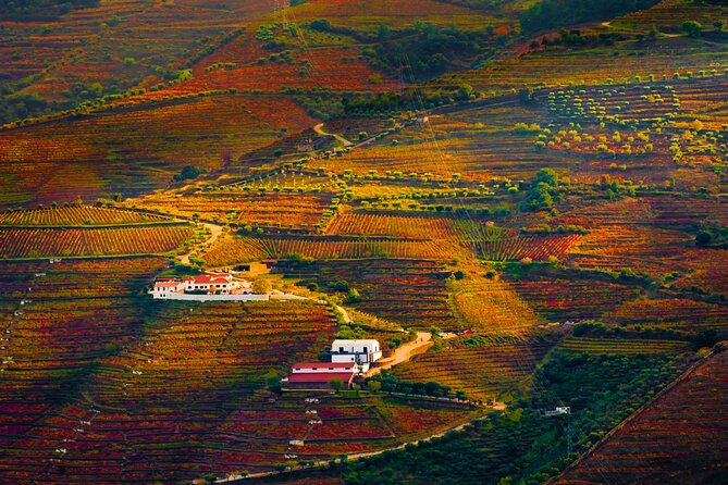 Porto: douro valey, 2 Wine regions, Sommelier, boat trip & lunch - The Experience from Travelers’ Perspectives