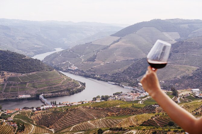 Porto: douro valey, 2 Wine regions, Sommelier, boat trip & lunch - The Sum Up