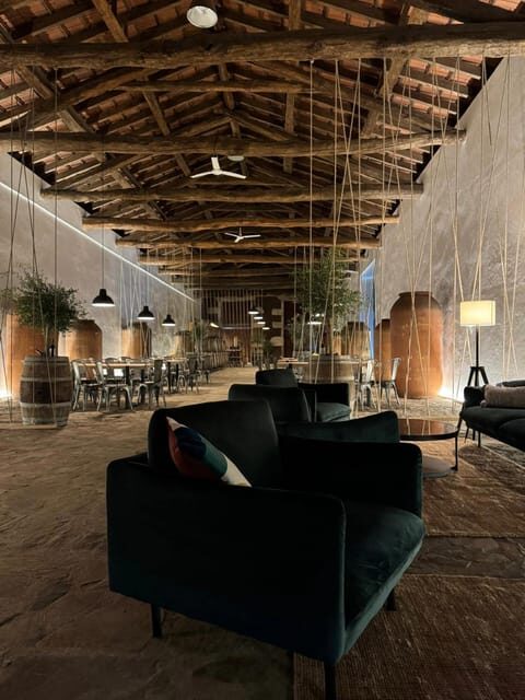 Porto: Douro valley 2 farms with wine tasting and lunch - Final Thoughts: Is This Tour Right for You?
