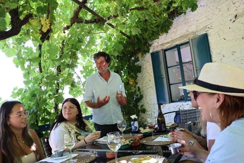 Porto: Douro Valley, 2 Wineries, Lunch, and 1-Hour Boat Tour - Who This Tour Is Best For