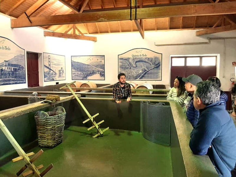 Porto: Douro Valley, 2 Wineries, Lunch & Private Boat Trip - Who Is This Tour Best Suited For?